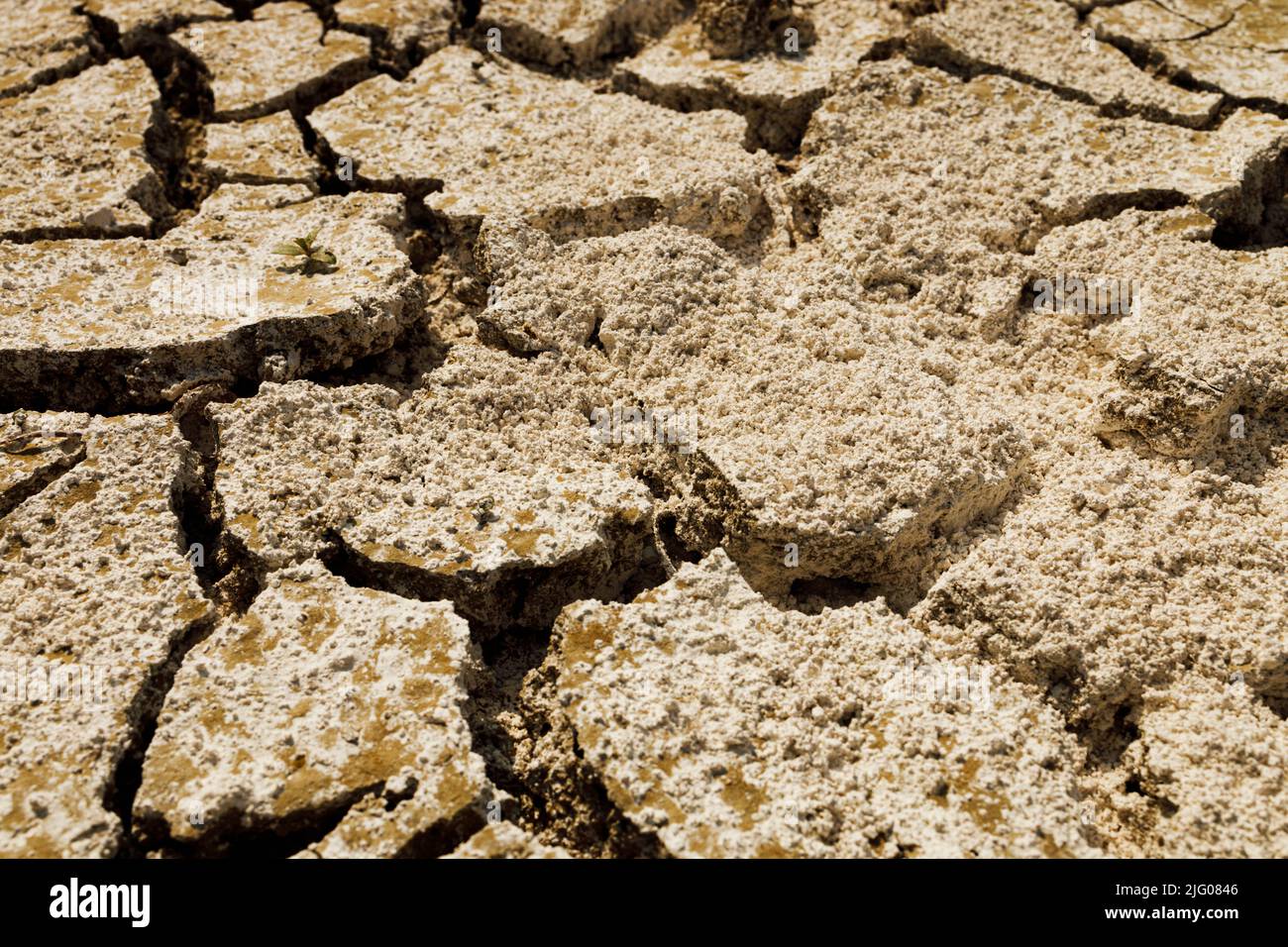 Detail of dry land during environmental crisis Stock Photo - Alamy