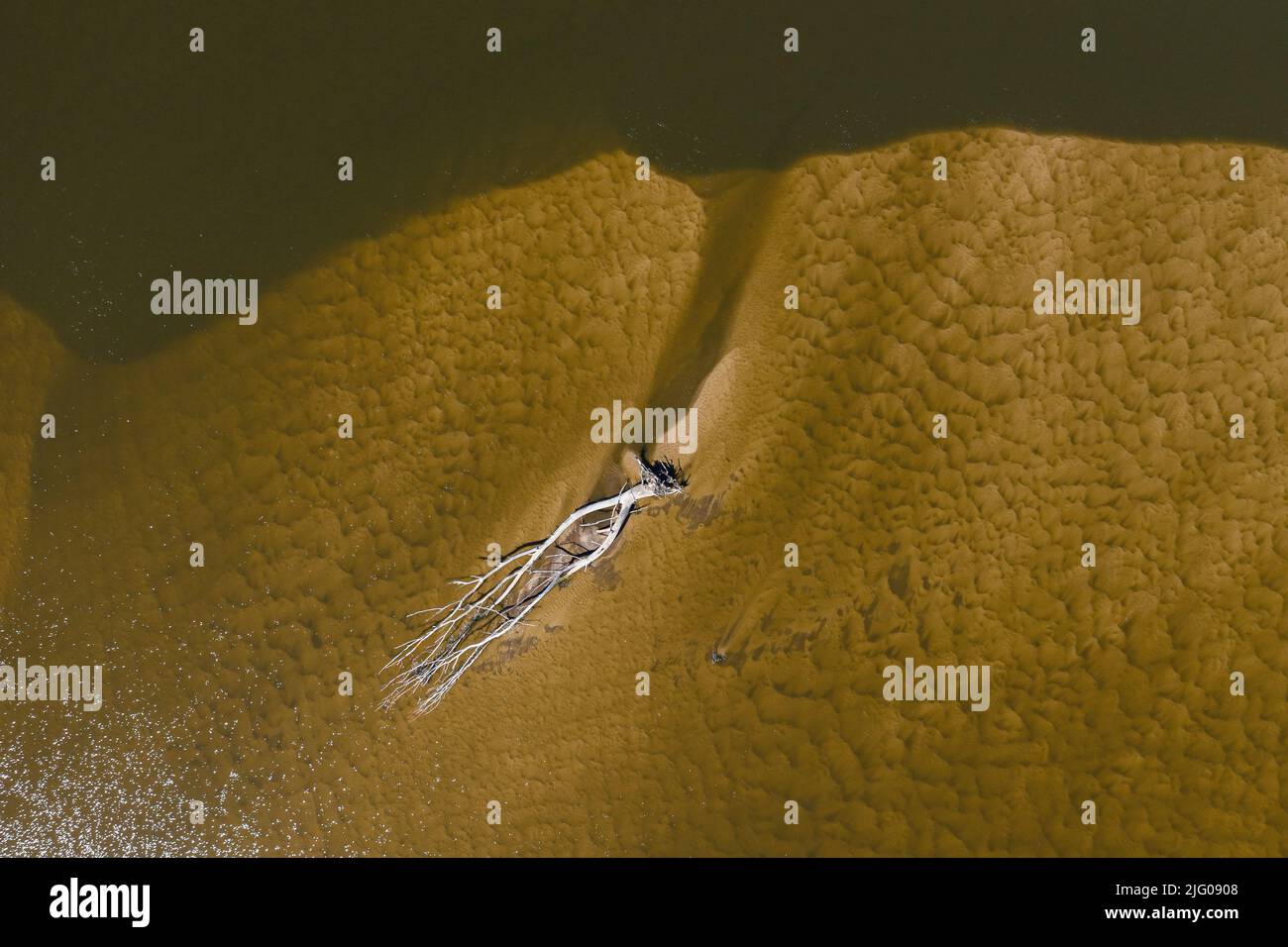 Low water level in Vistula river, effect of drought seen from the bird ...