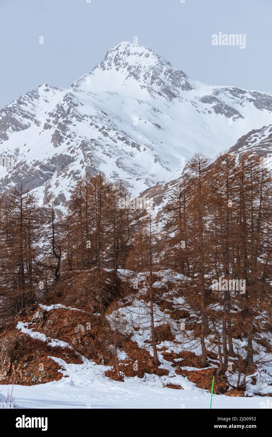The Engadine mountains covered in snow and ice during a winter day ...