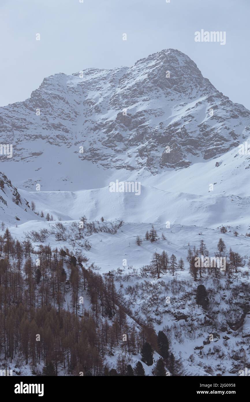 Engadina hi-res stock photography and images - Alamy