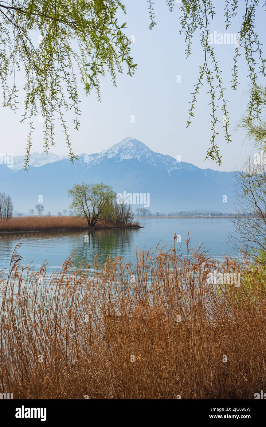 Mount legnone overlooks the marshy area of the Pian di Spagna nature ...