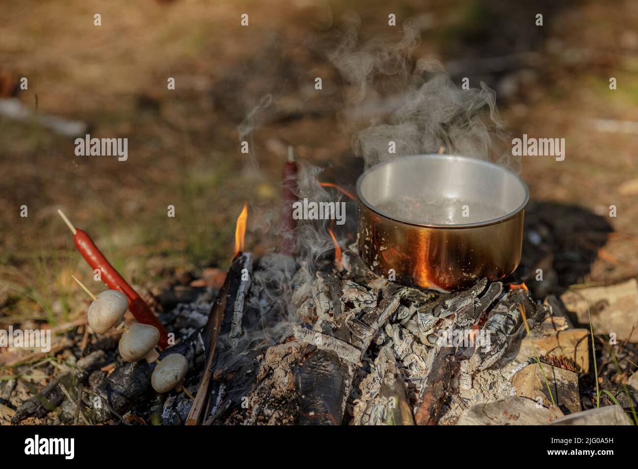 Cooking food in pot on campfire. The concept of adventure, travel ...