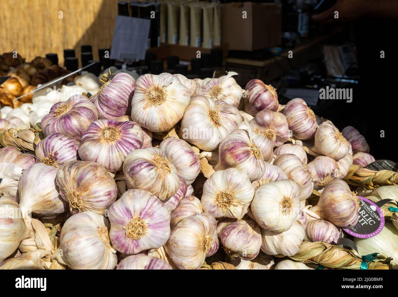 Garlic from the Garlic Farm on the isle of white at Hampton Court ...