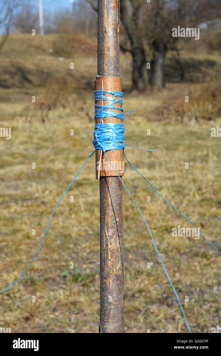Staking rope hi-res stock photography and images - Alamy