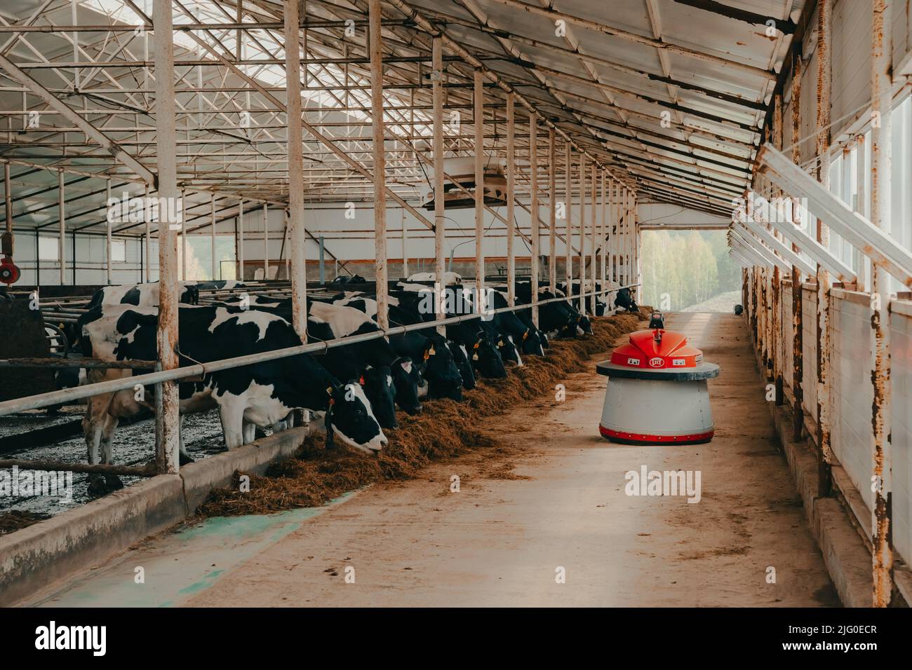 Tatarstan, Russia. 2022, June 04. The LELY robot farmers are programmed ...
