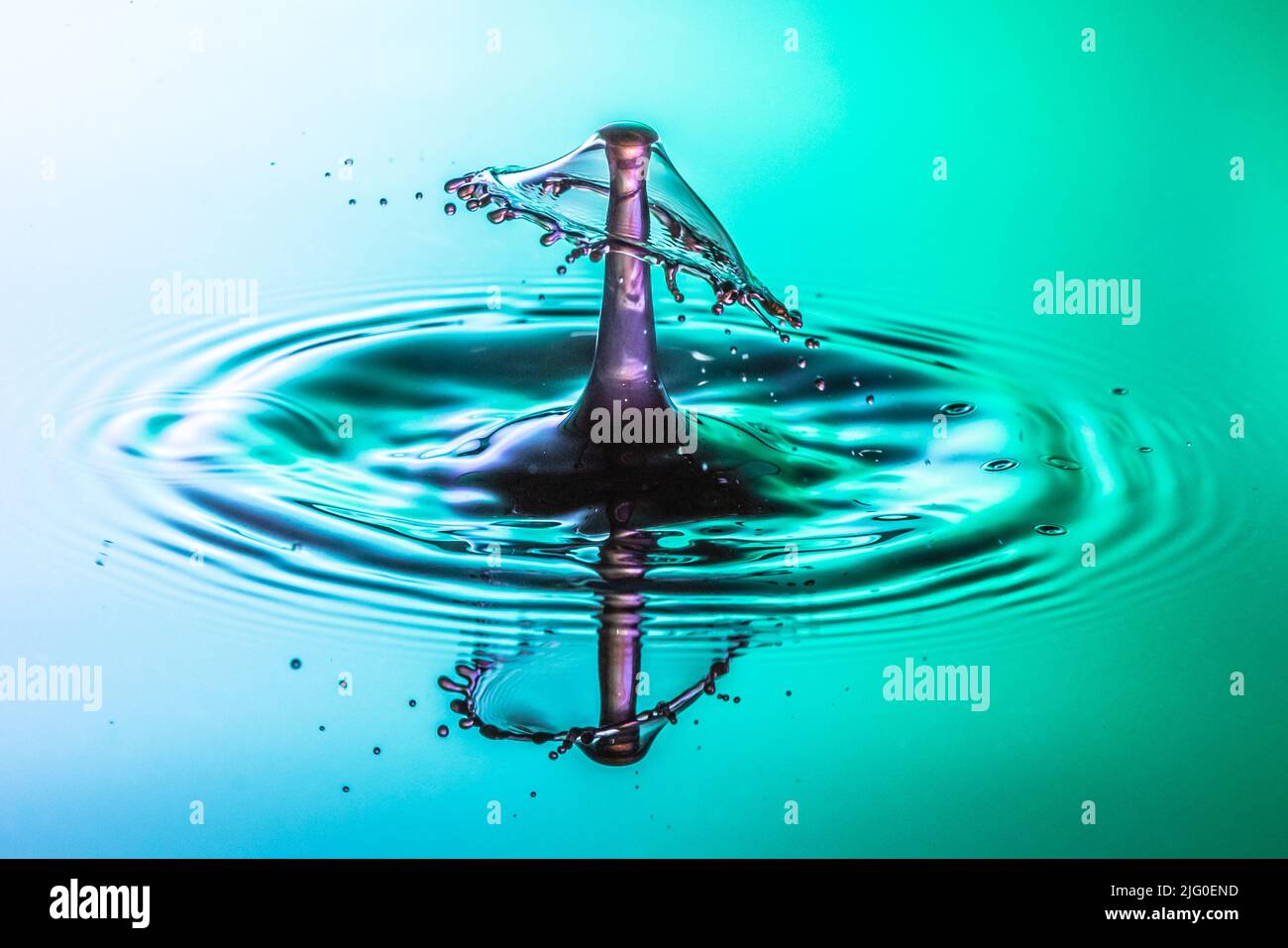 Fokus auf detail hi-res stock photography and images - Alamy