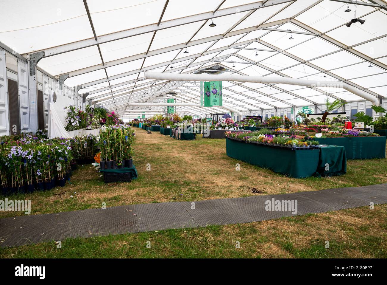 Flowers on display at the RHS Hampton Court Flower Festival Stock Photo ...