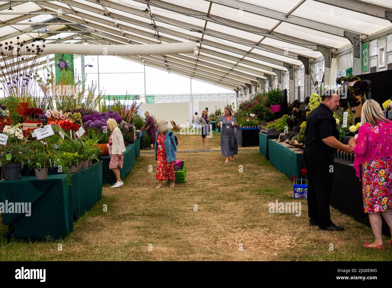 Flowers on display at the RHS Hampton Court Flower Festival Stock Photo ...