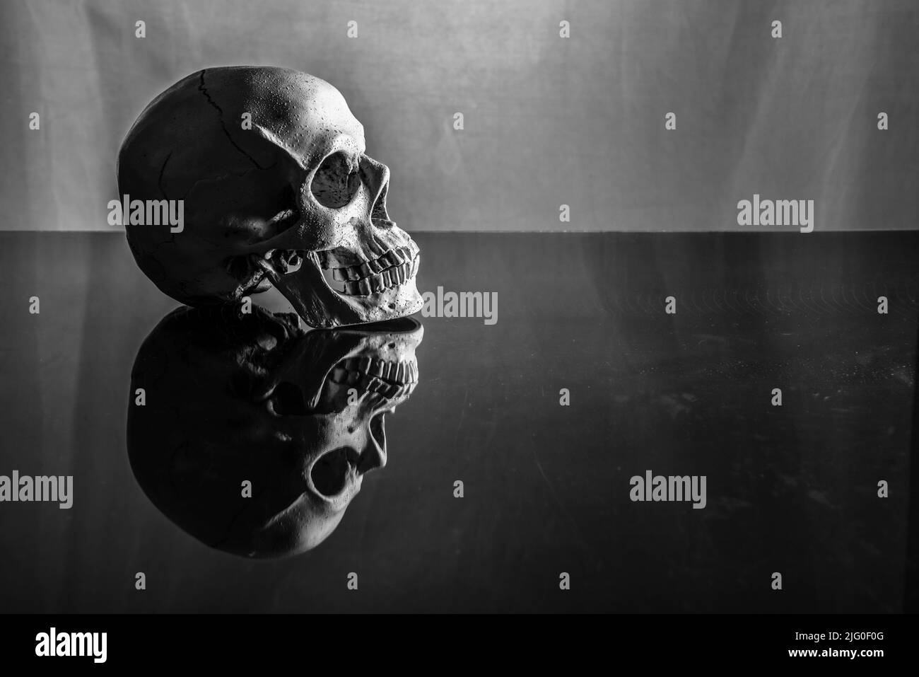 Glass table Black and White Stock Photos & Images - Alamy