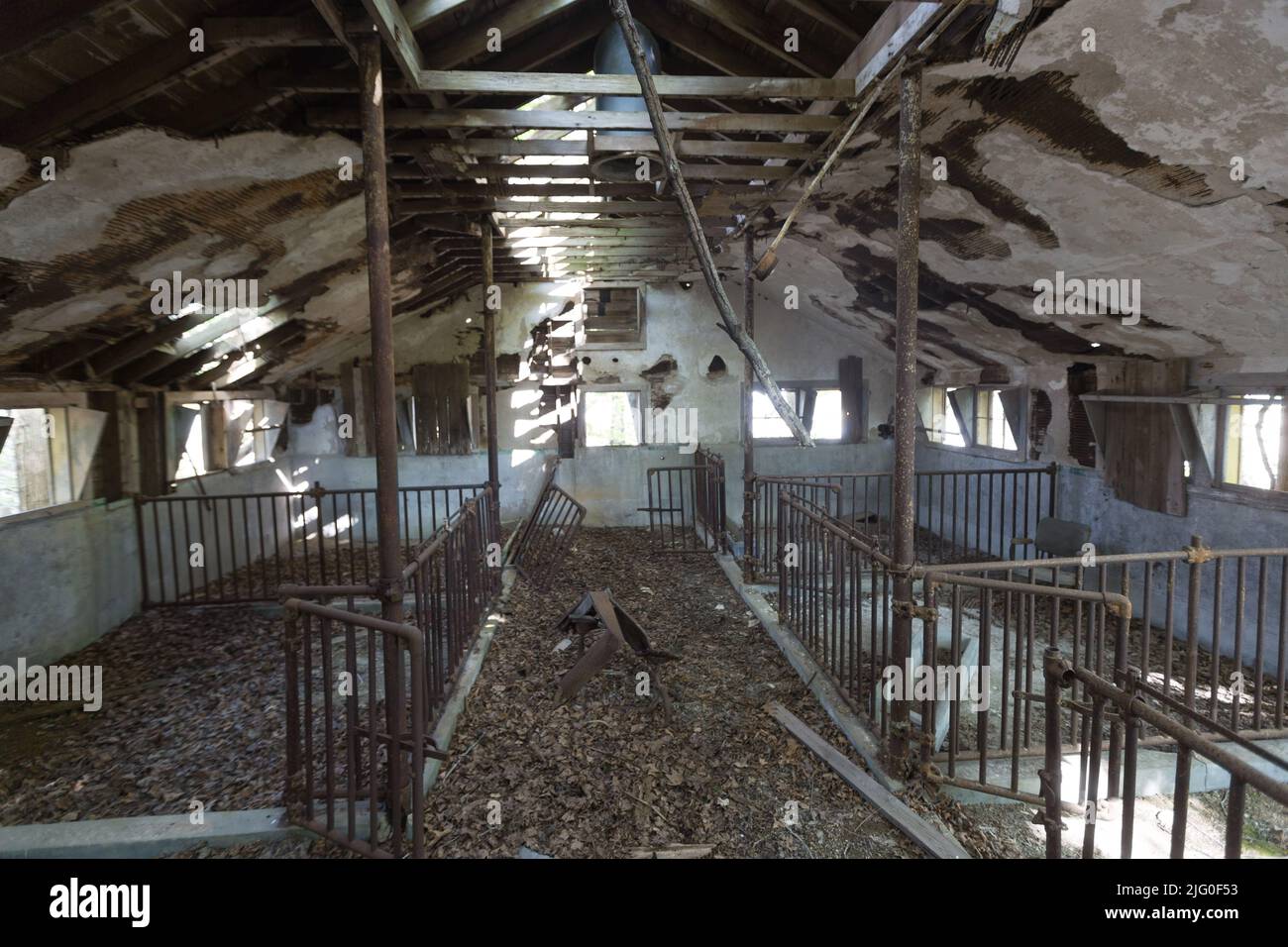 The interior of an abandoned and ruined farm animal pens Stock Photo ...