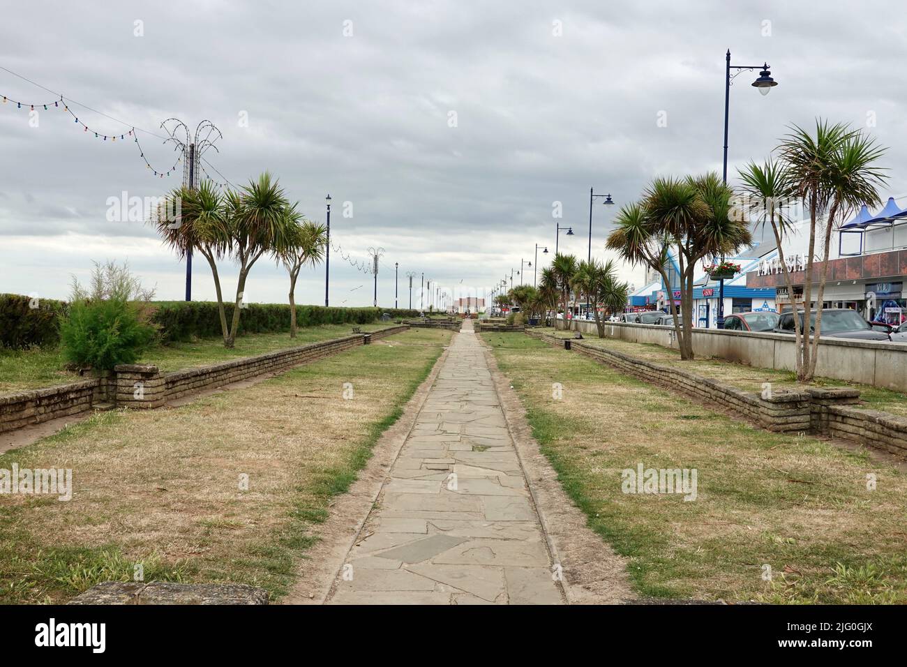 Palm garden suffolk hi-res stock photography and images - Alamy