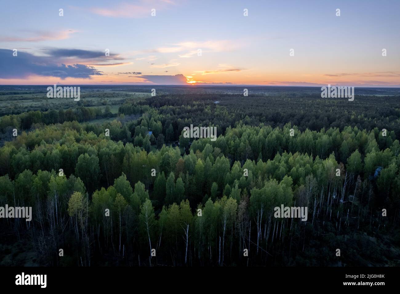Above treetops hi-res stock photography and images - Alamy