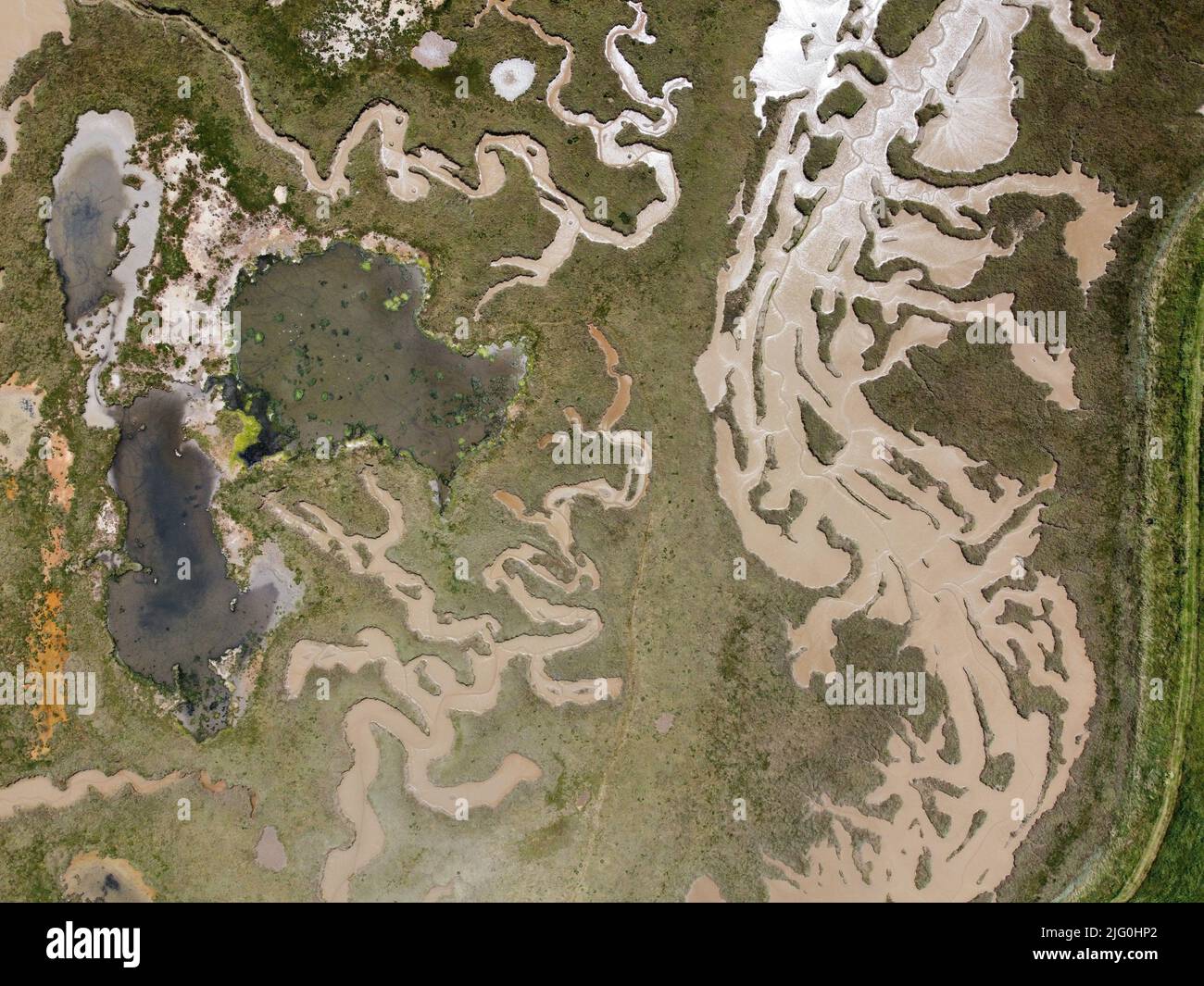 An aerial top view of the rivers and small lakes in a green area Stock ...