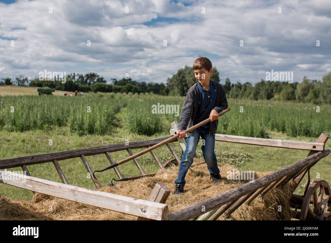 boy rakes hay on a farm in a wagon Stock Photo - Alamy