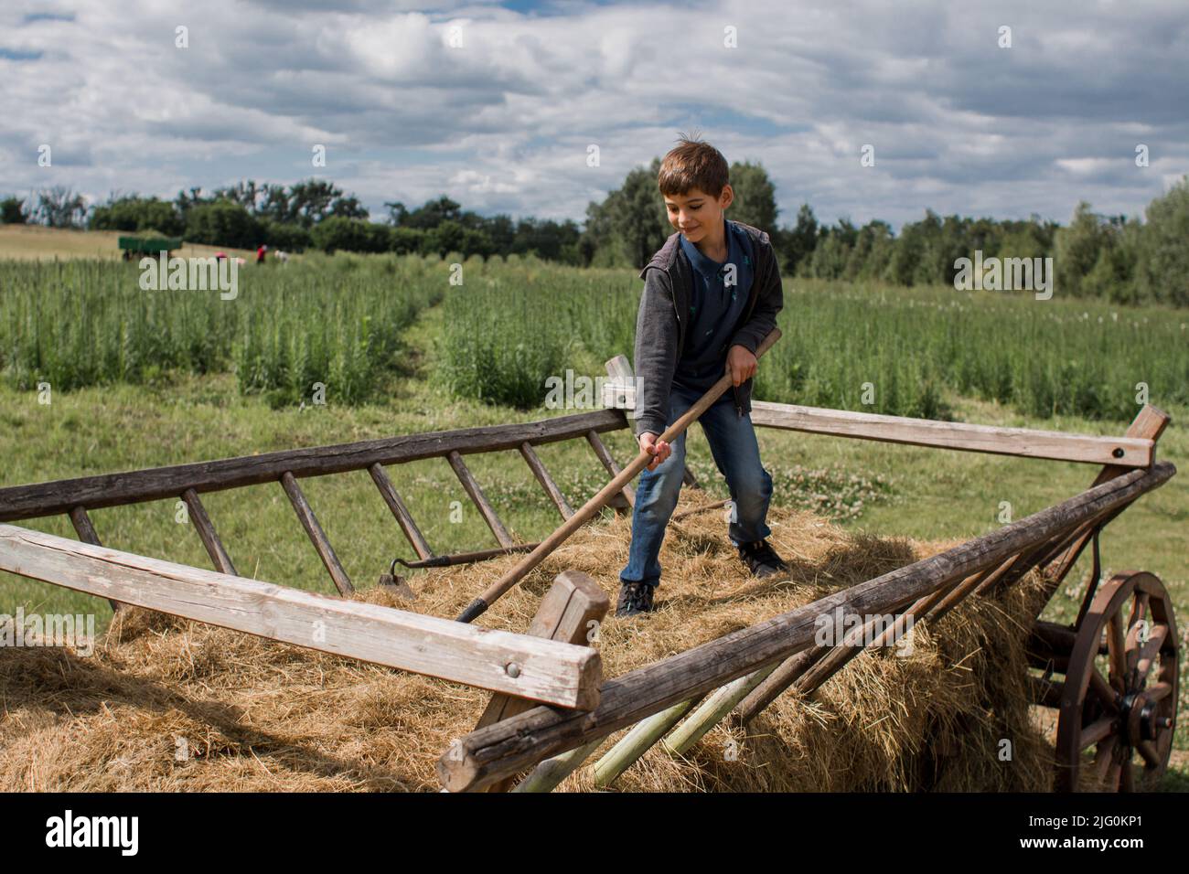 boy rakes hay on a farm in a wagon Stock Photo - Alamy
