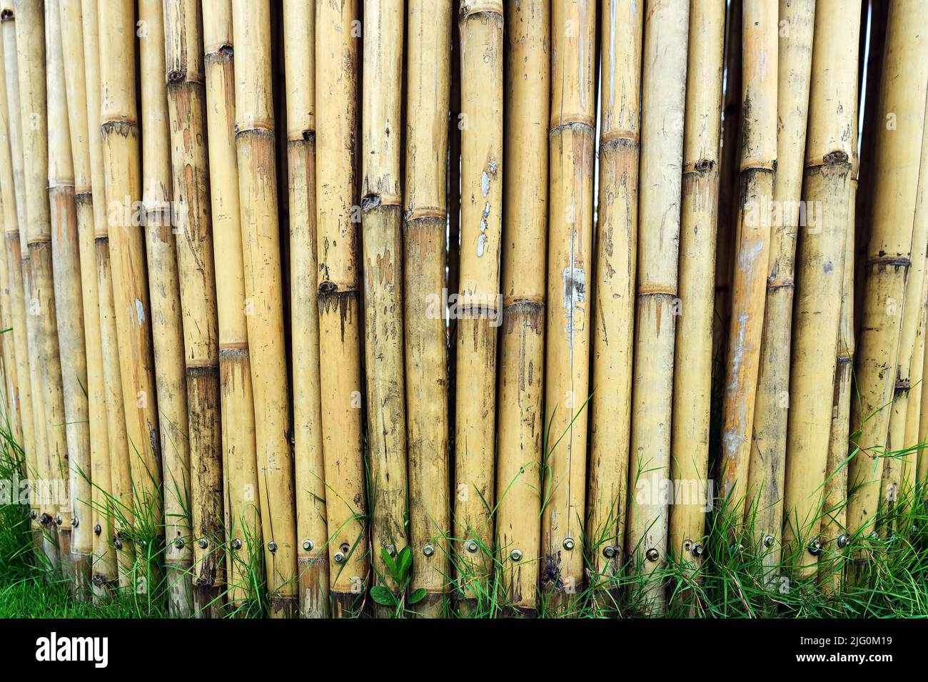 Old brown tone bamboo simple wall or Bamboo fence texture background ...