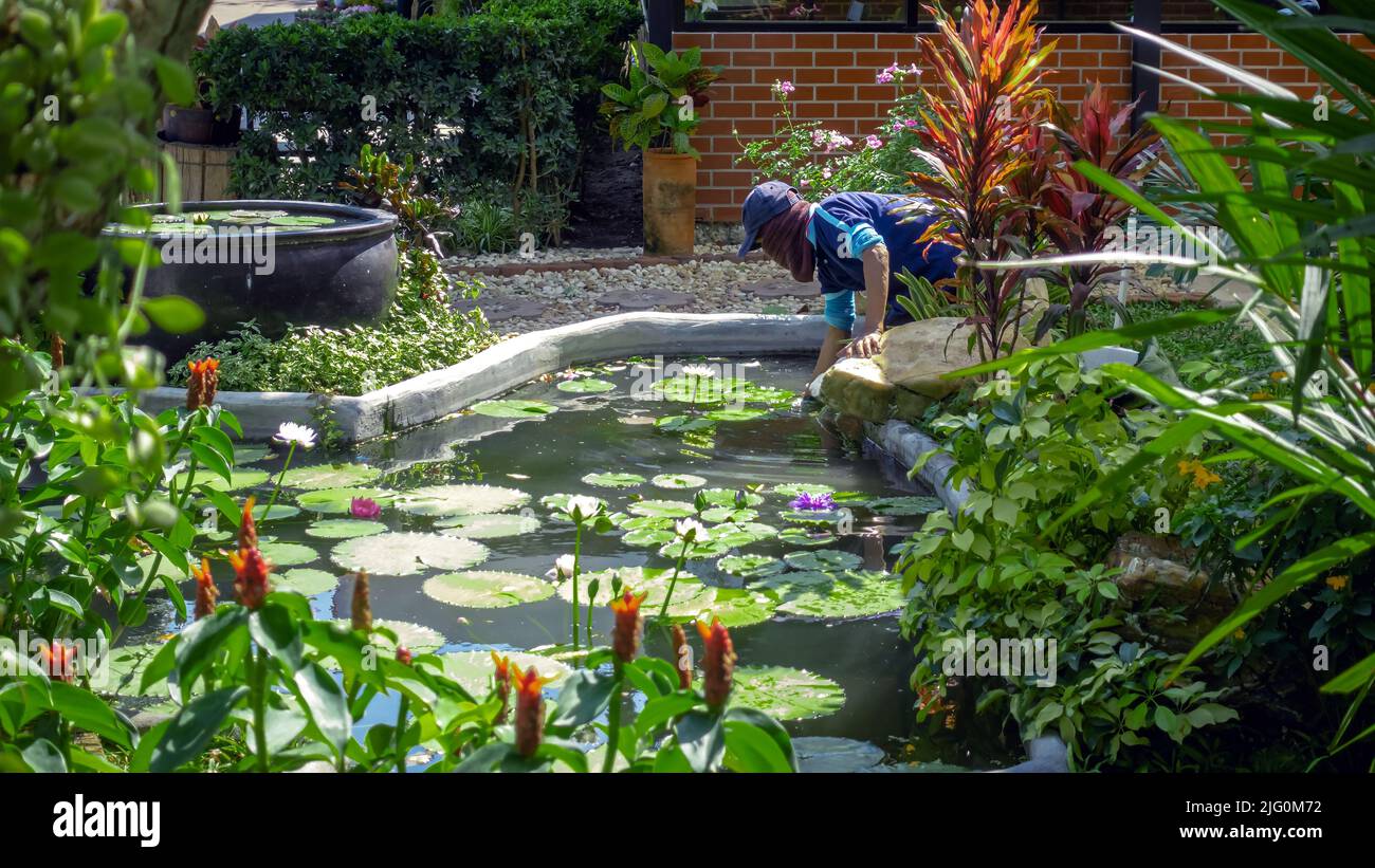 Asian man wear cap cleaning garden pond from green algae. Male janitor ...