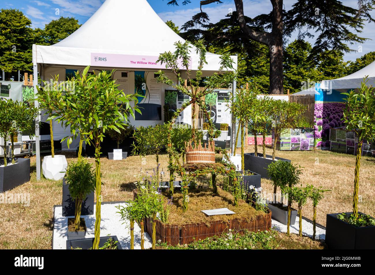 Plant displays at Hampton Court Palace Flower Festival Stock Photo - Alamy