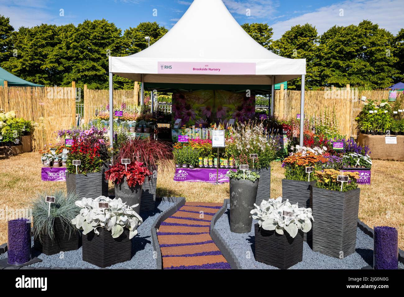 Plant displays at Hampton Court Palace Flower Festival Stock Photo - Alamy