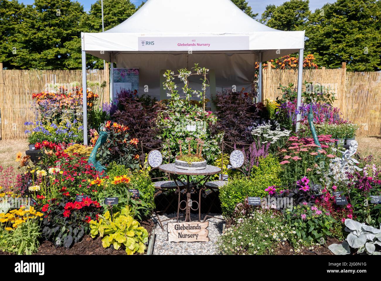 Plant displays at Hampton Court Palace Flower Festival Stock Photo - Alamy