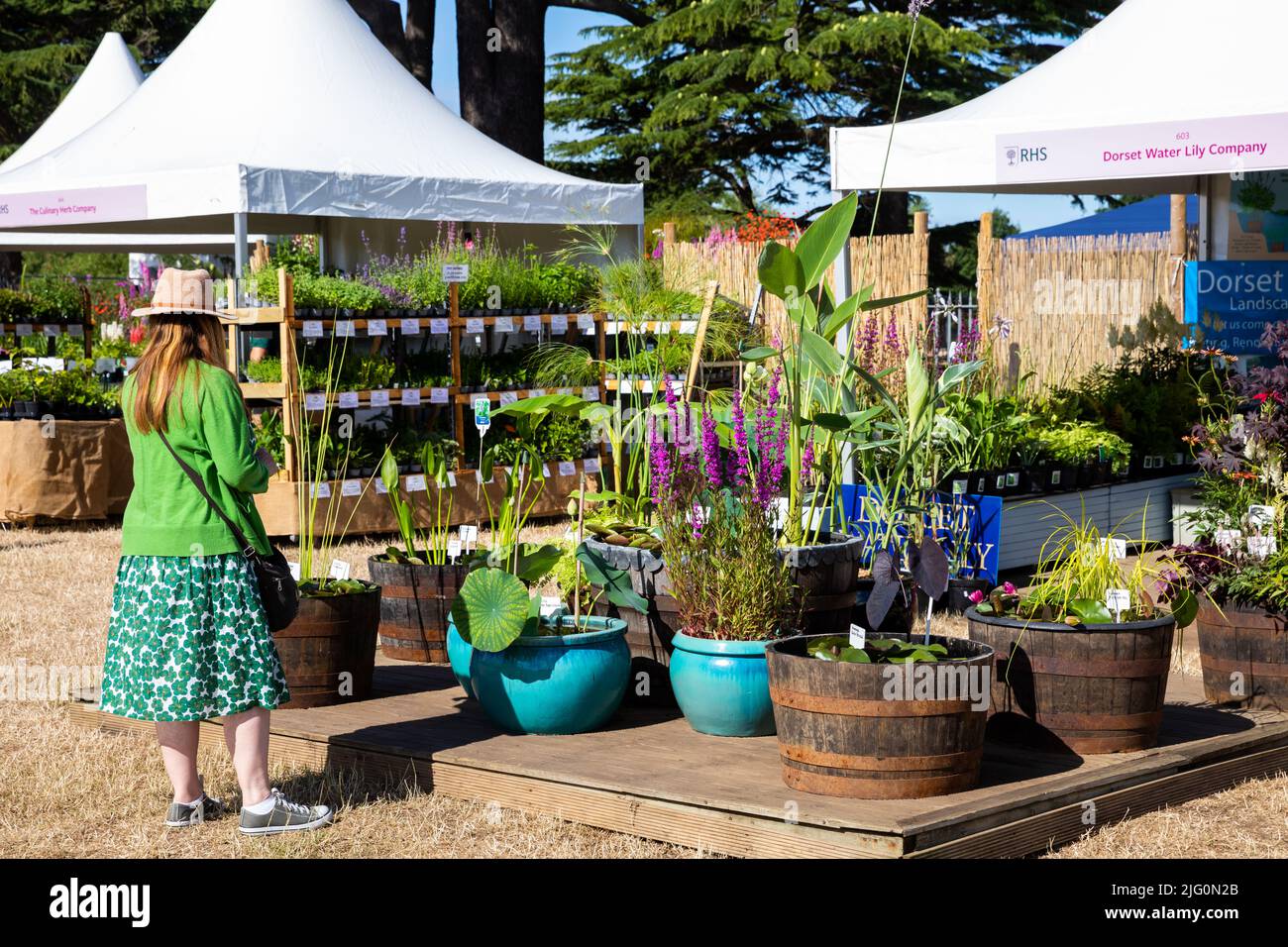 Plant displays at Hampton Court Palace Flower Festival Stock Photo - Alamy