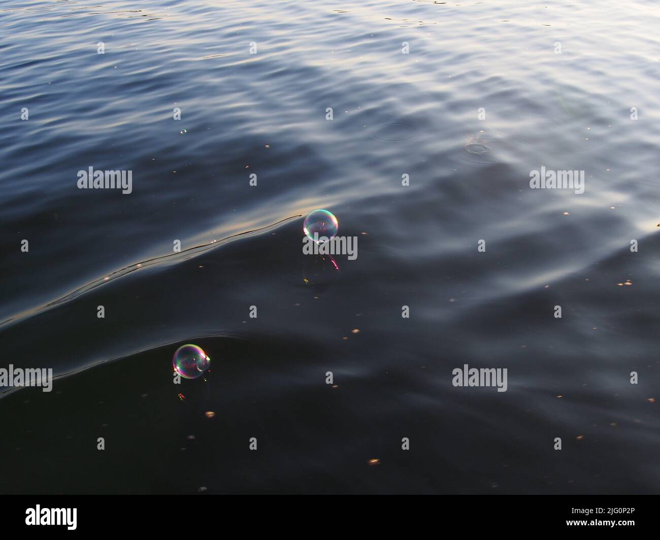 Blown Bubbles Floating on Water Stock Photo - Alamy