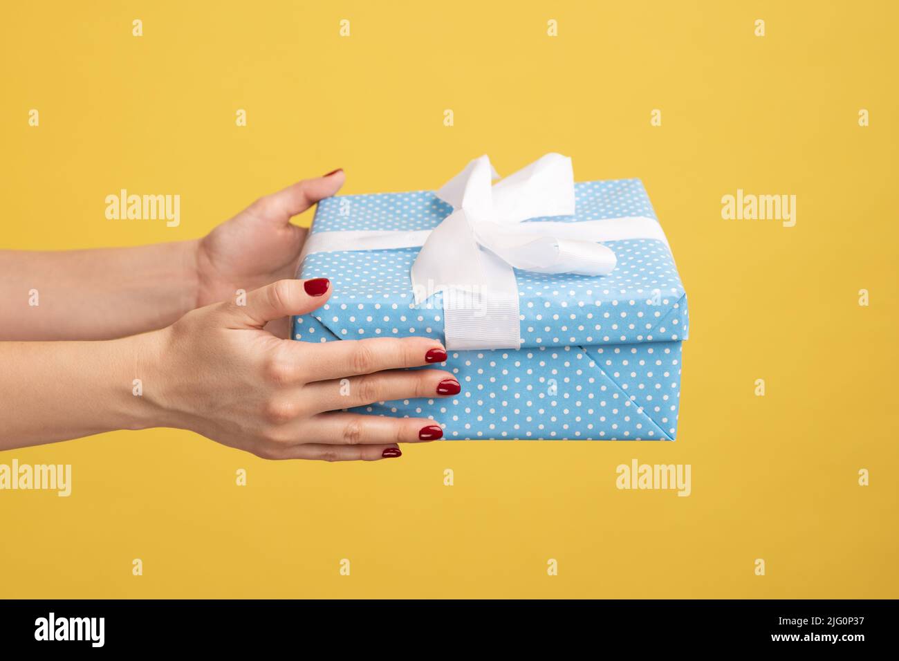 Closeup of woman hand holding wrapped blue gift box with white stripe ...