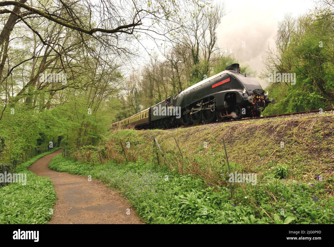 Newly overhauled LNER Class A4 Pacific No 4498 Sir Nigel Gresley at the ...