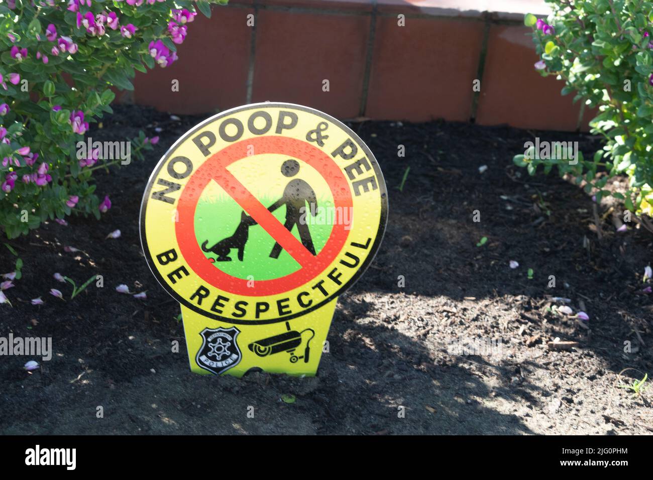 Yellow and red anti dog foul notice asking pet owners to considerate ...