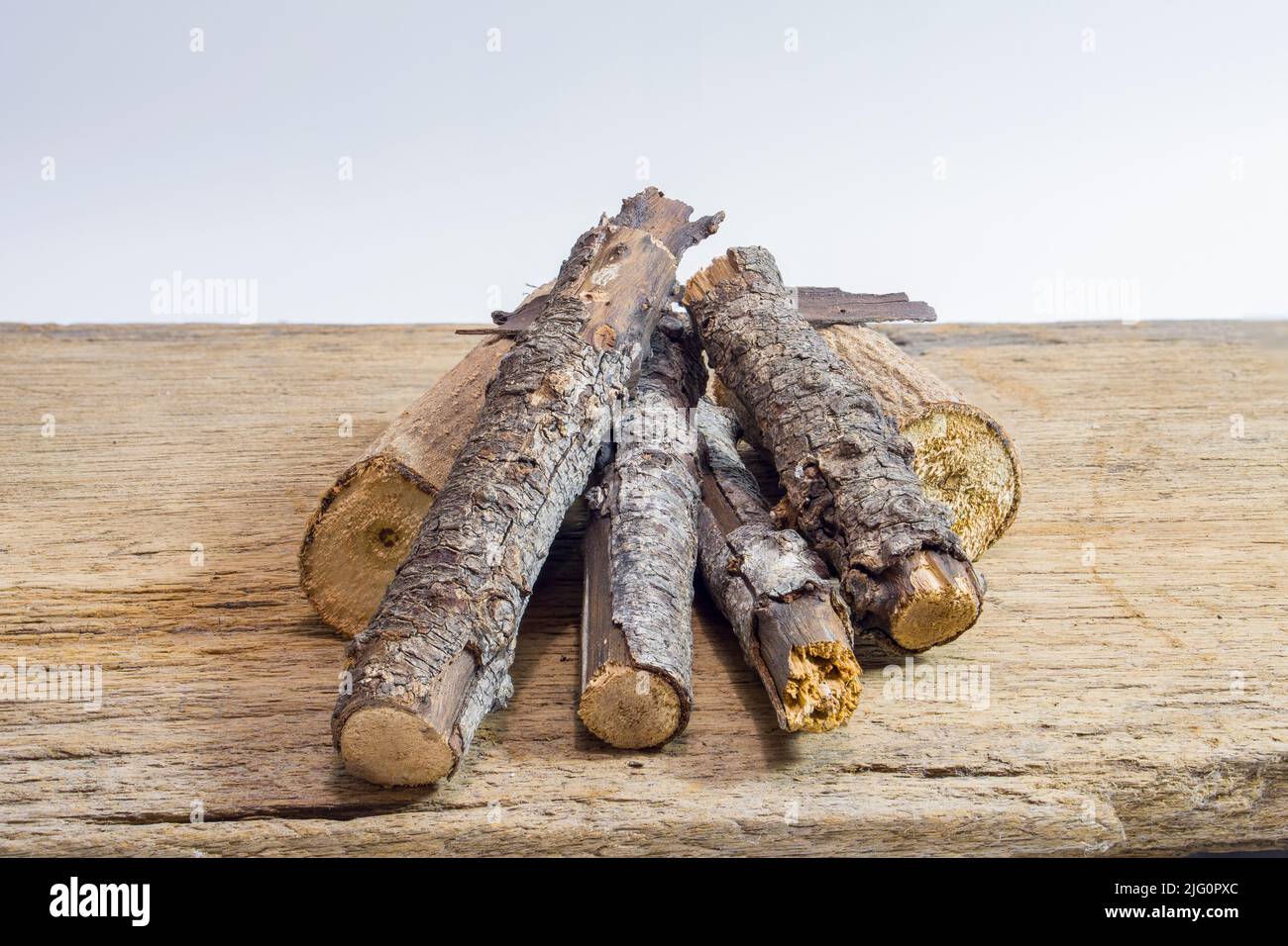 Pine logs tree on white background. Split wood. Studio photo. Cross ...
