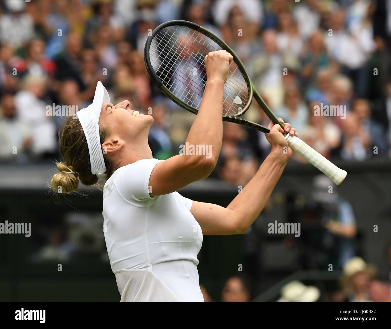 Simona halep wimbledon winner hi-res stock photography and images - Alamy