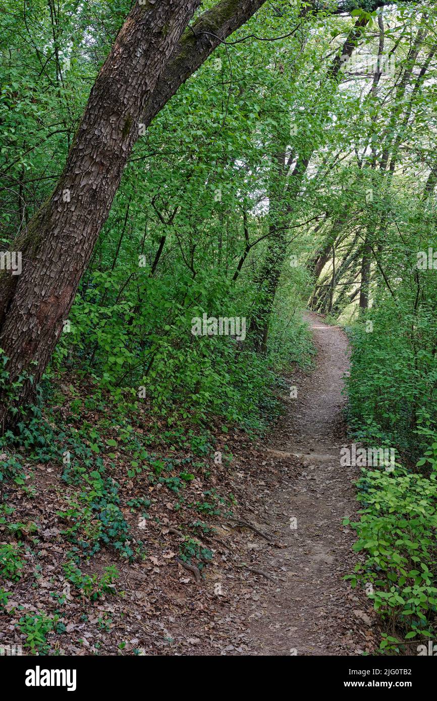 Orfano hi-res stock photography and images - Alamy