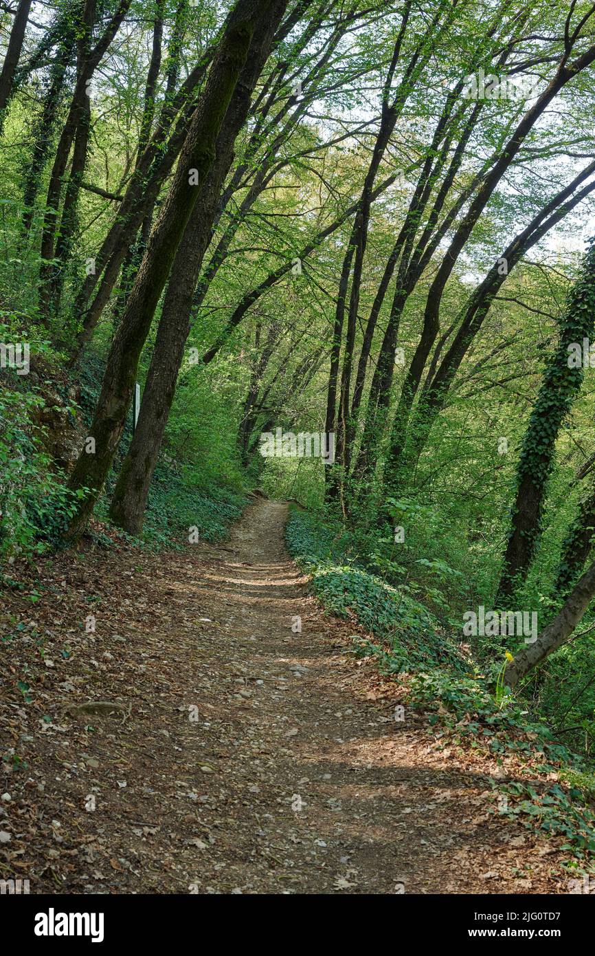 Orfano hi-res stock photography and images - Alamy