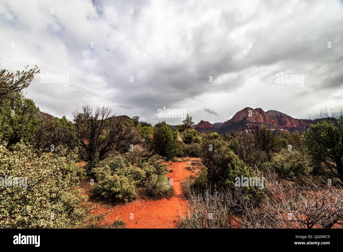 Gathering dark clouds in the wilderness of the red rocks outside Sedona ...