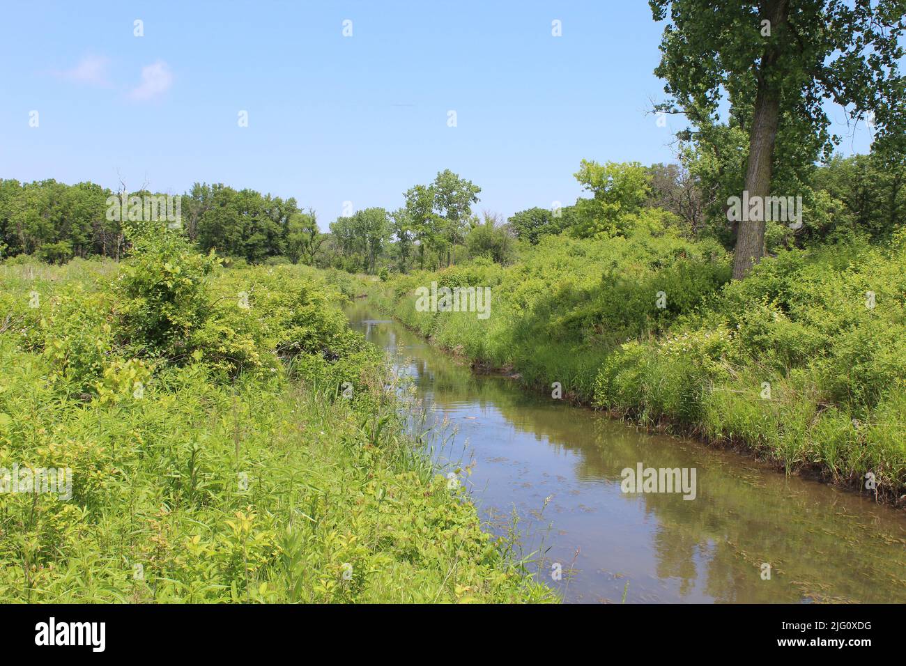 Middle fork of the North Branch of the North Branch of the Chicago ...