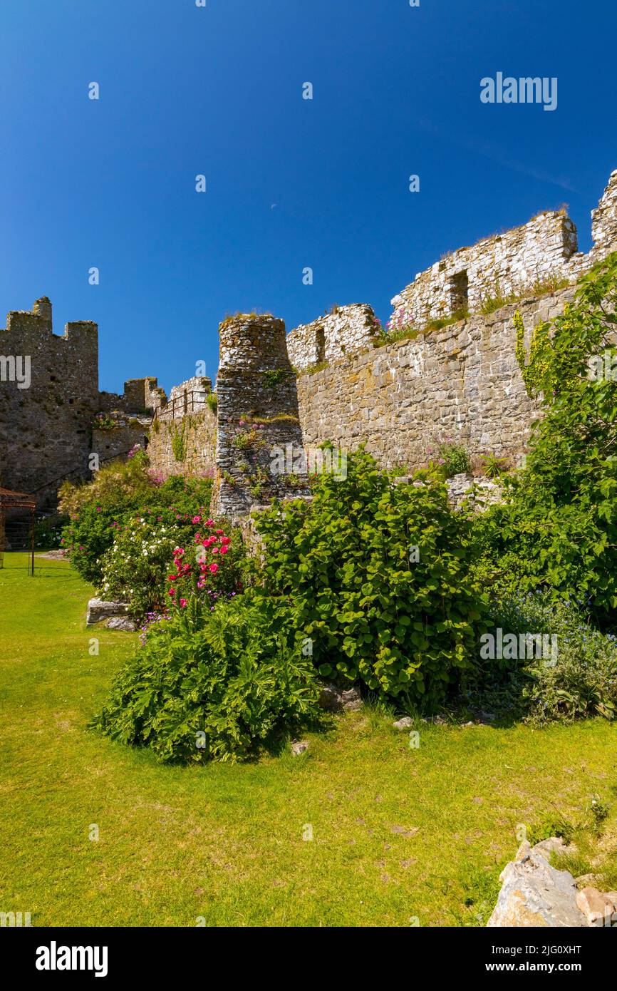 The colourful planting inside the Inner Ward of the historic 12th ...