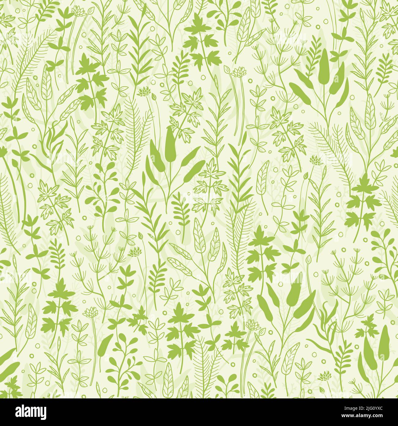 Green nature seamless pattern, herbal background, fresh hand drawn ...