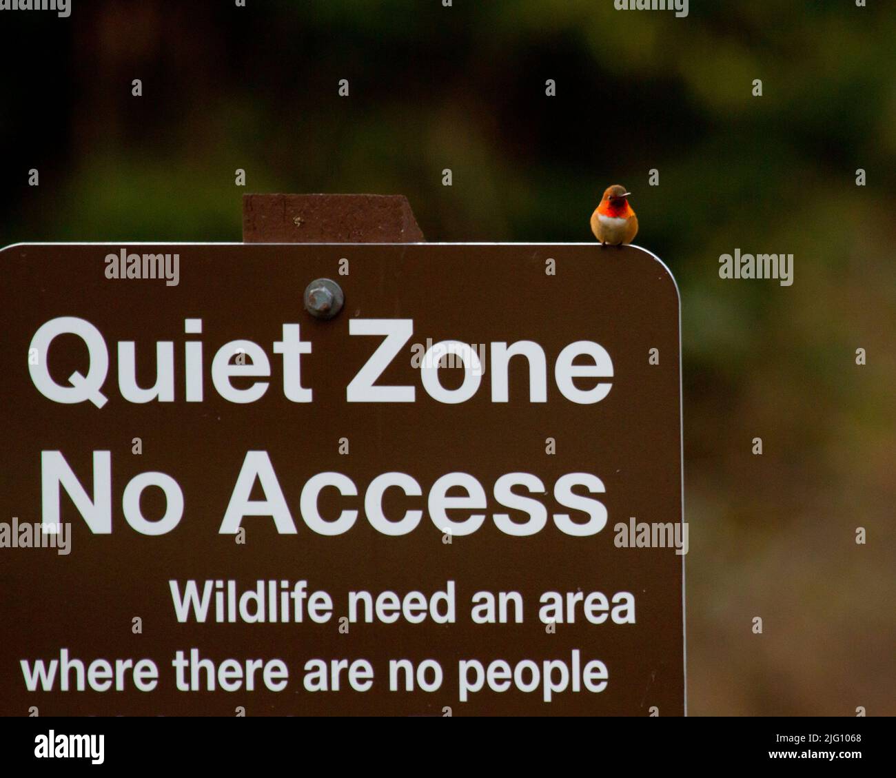 Quiet zone sign hi-res stock photography and images - Alamy