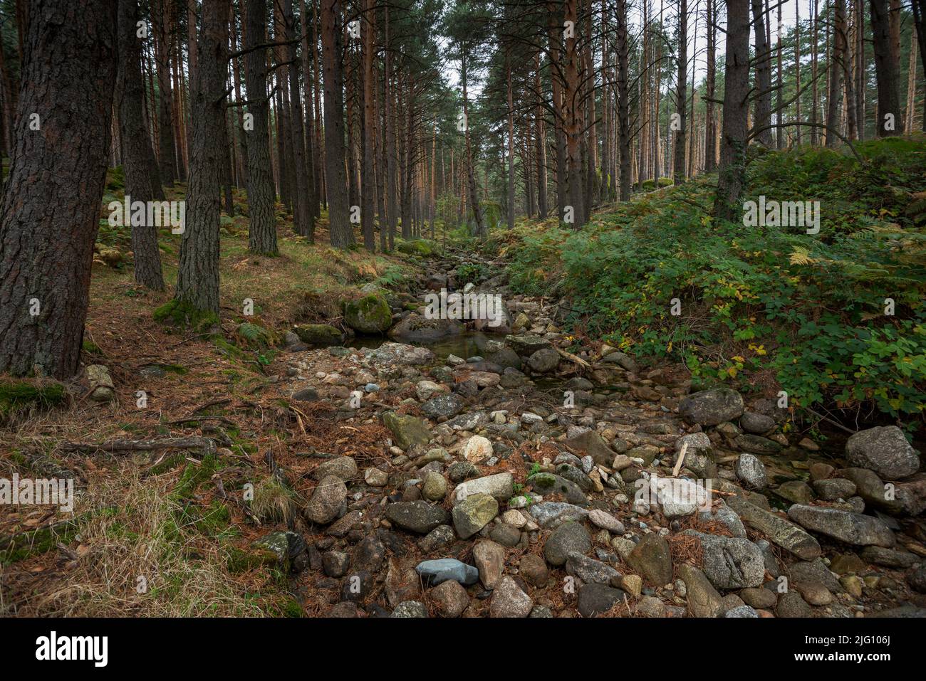 Views of the La Herrada Stream, in the Hueco de San Blas Valley, a very ...