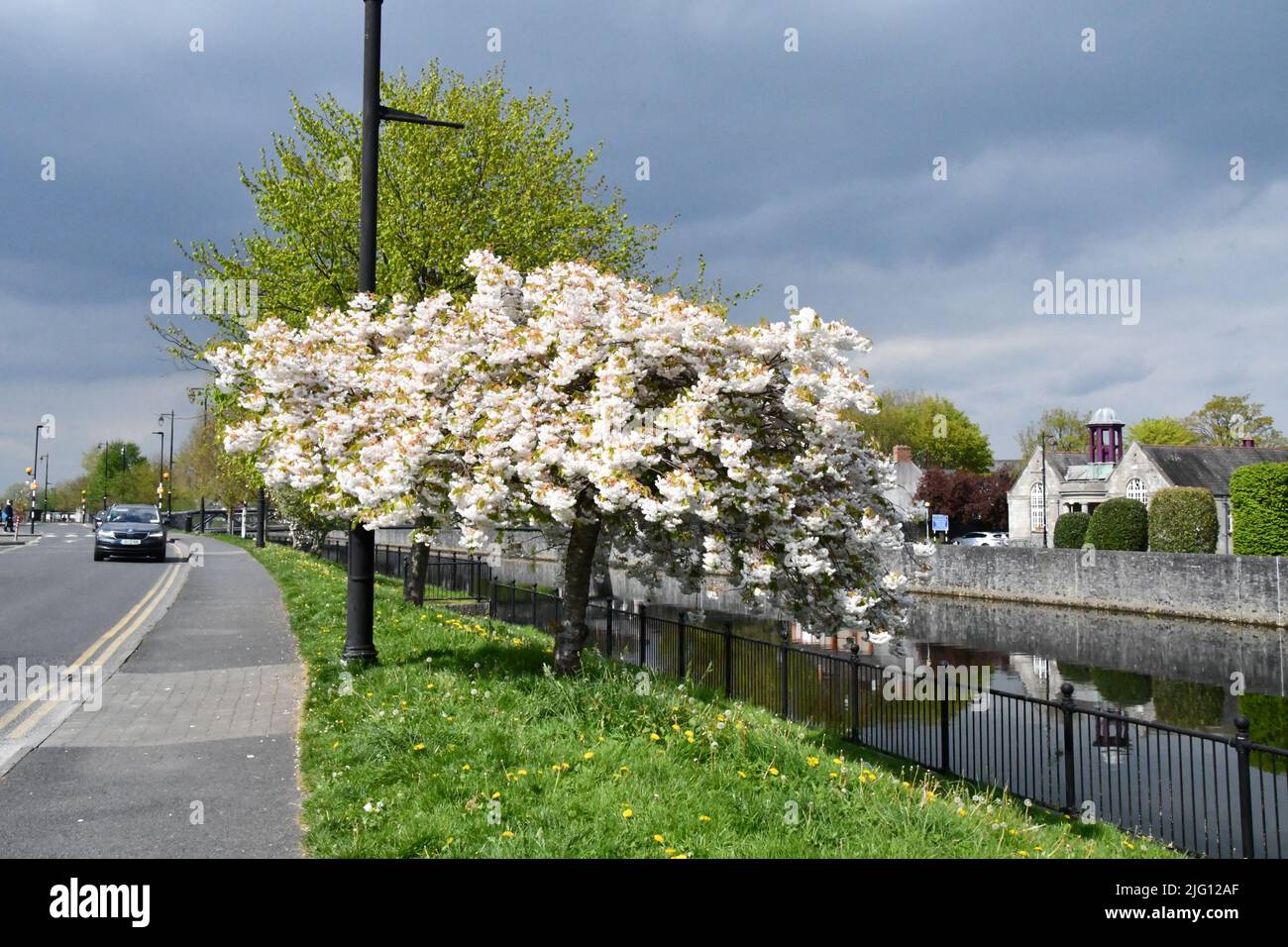Picturesque spring colour trees hi-res stock photography and images - Alamy