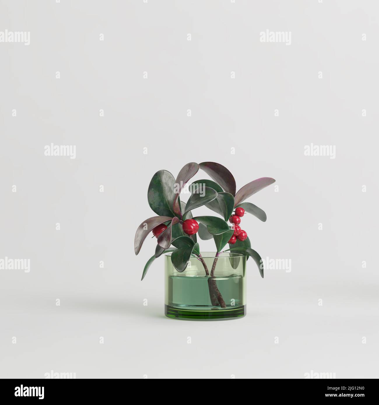 3d illustration of flower branch in glass vase isolated on white ...