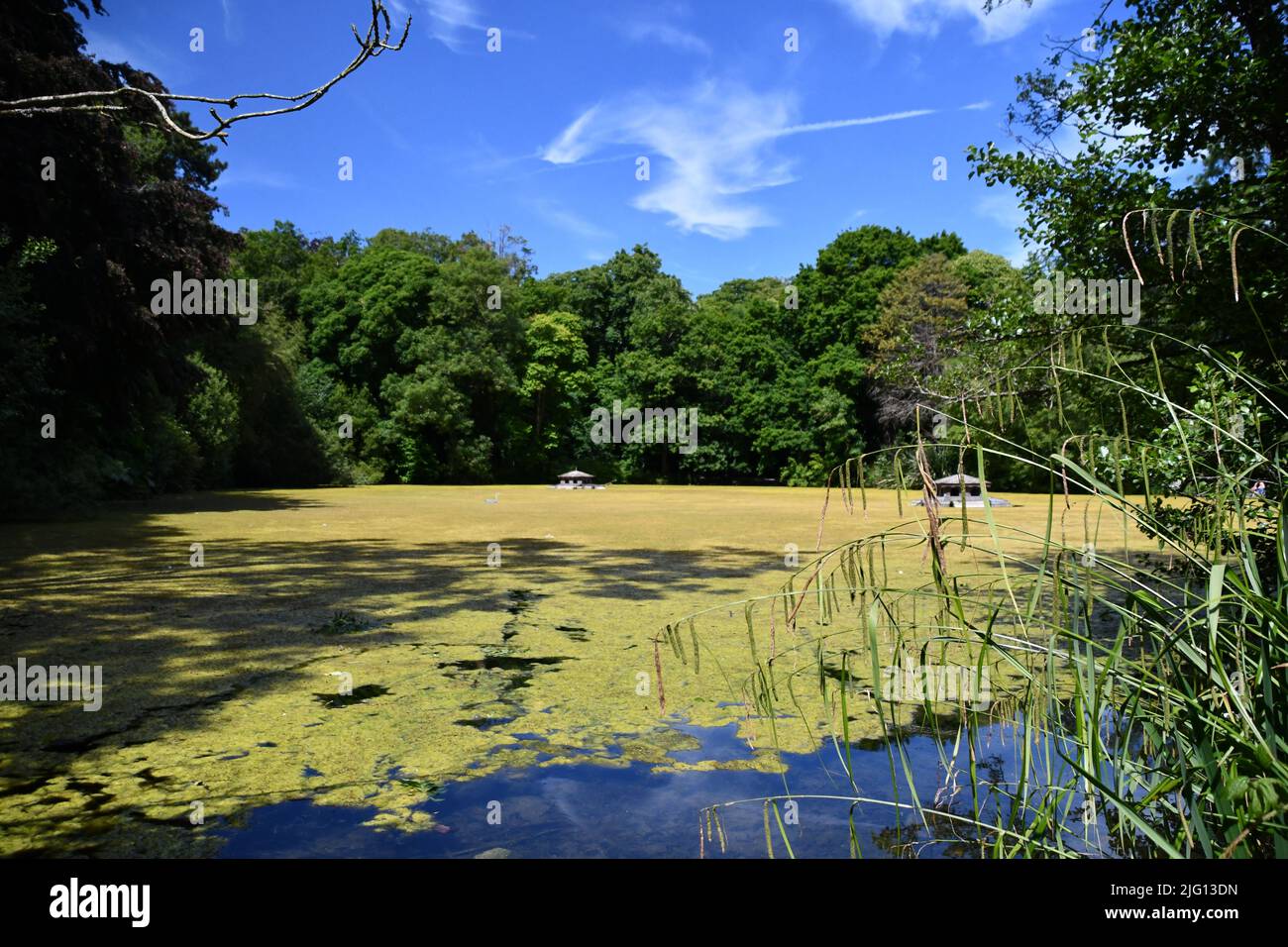 Pond in kilkenny castle park hi-res stock photography and images - Alamy