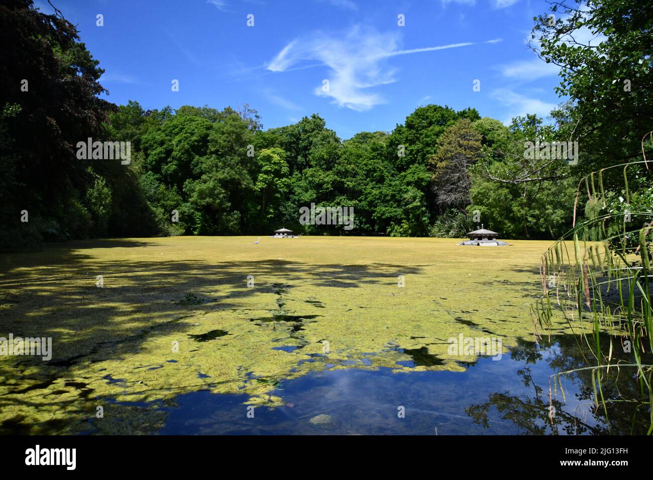 Pond in kilkenny castle park hi-res stock photography and images - Alamy