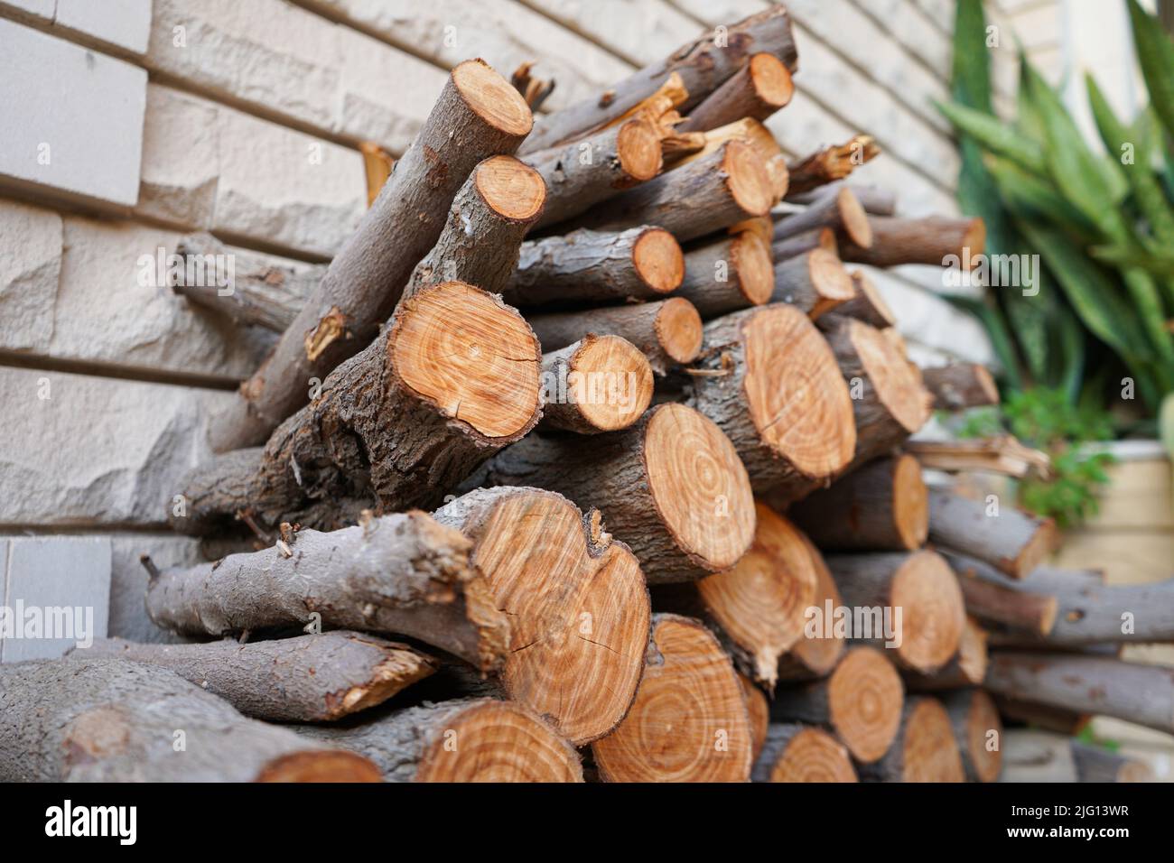 Wooden natural sawn logs as background, top view, flat lay Stock Photo ...
