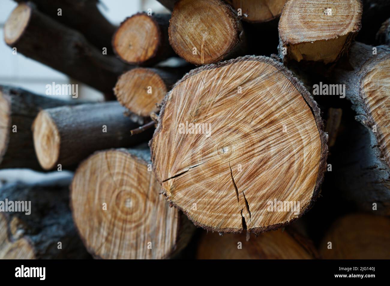Wooden natural sawn logs as background, top view, flat lay Stock Photo ...