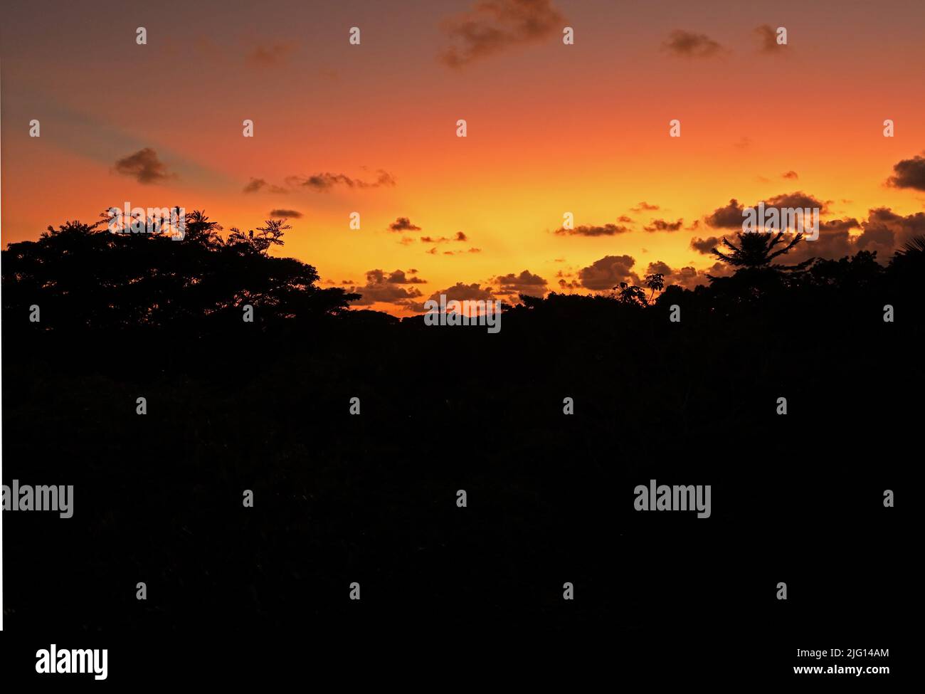 sunset over the rainforest Osa Peninsula, Costa Rica, March Stock Photo ...