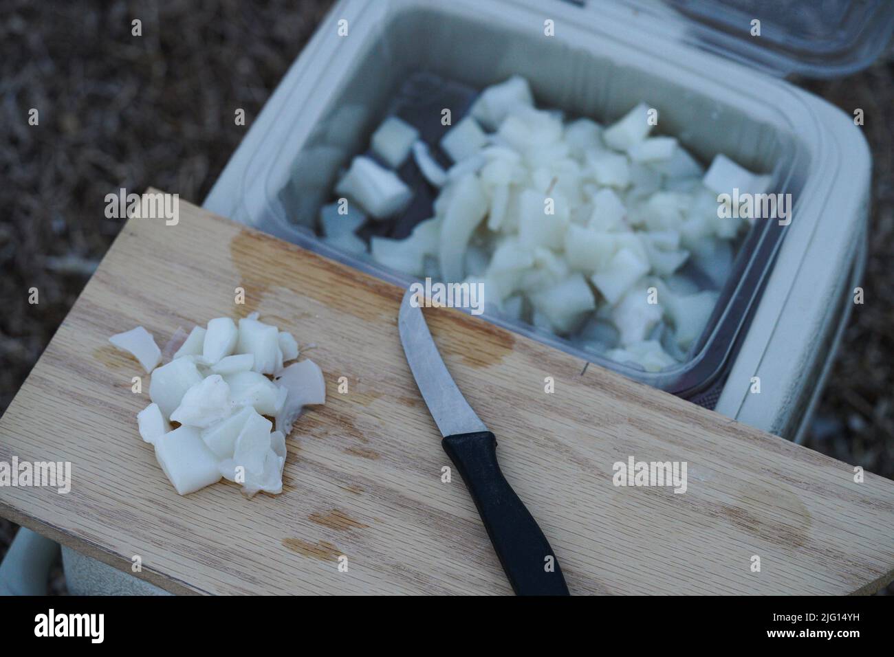 Hand cutting squid with knife for fishing bait Stock Photo - Alamy