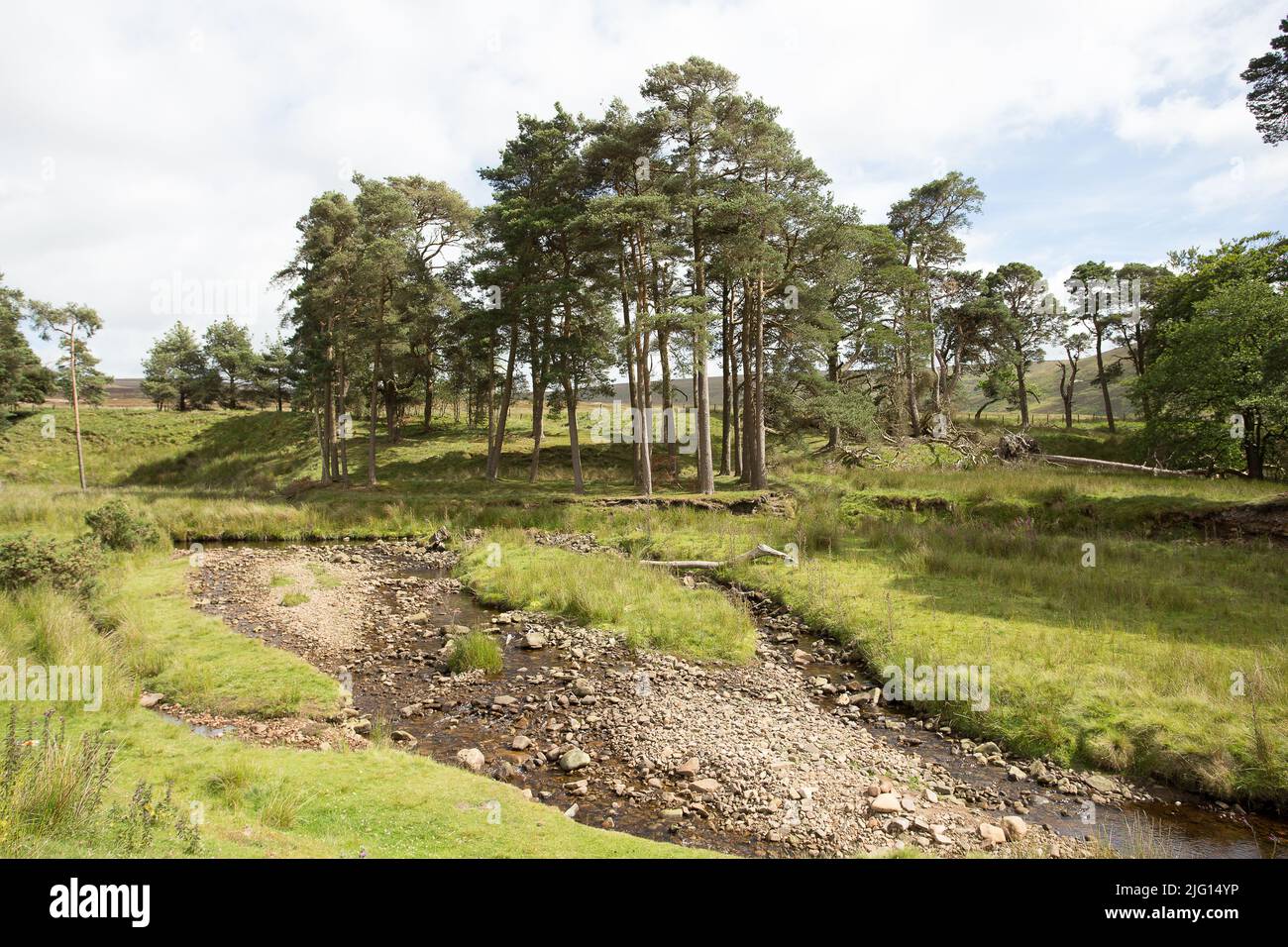 Trough of Bowland valley in the Forest of Bowland Area of Outstanding ...