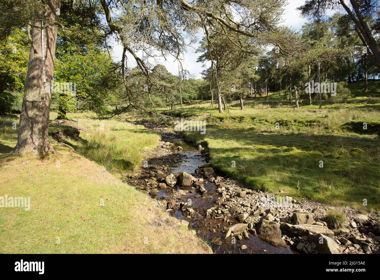 Trough of Bowland valley in the Forest of Bowland Area of Outstanding ...