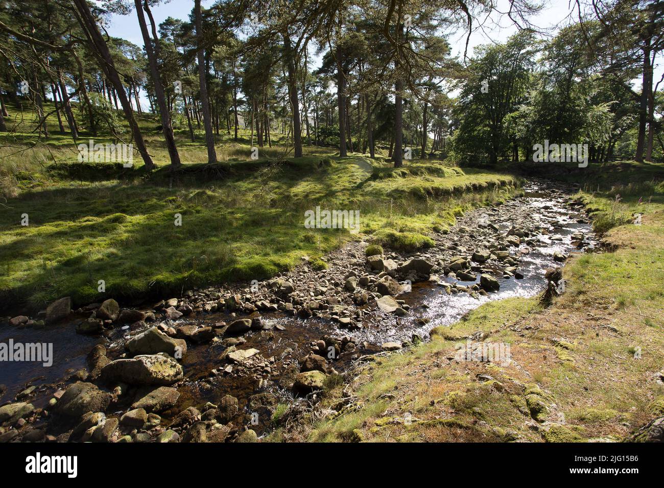 Trough of Bowland valley in the Forest of Bowland Area of Outstanding ...